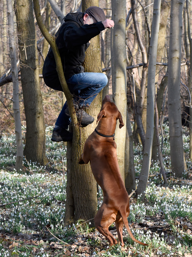 Månedens billeder februar - "Frit emne"