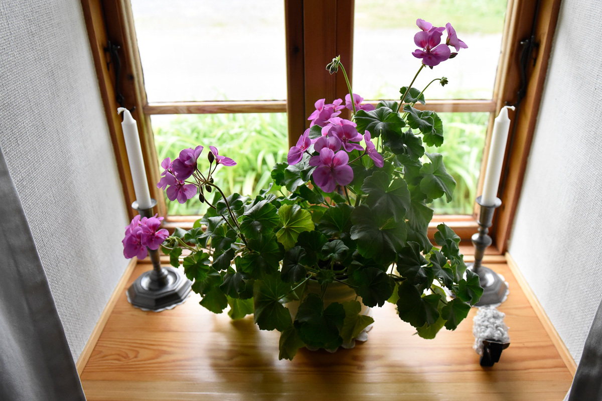 Månedens billeder maj "Gamle dage"