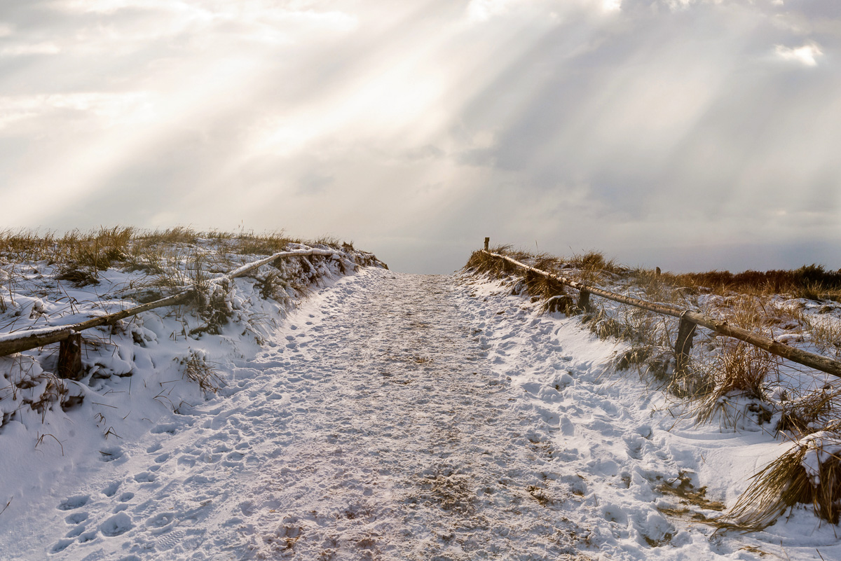 Månedens billeder Januar "Hvid"
