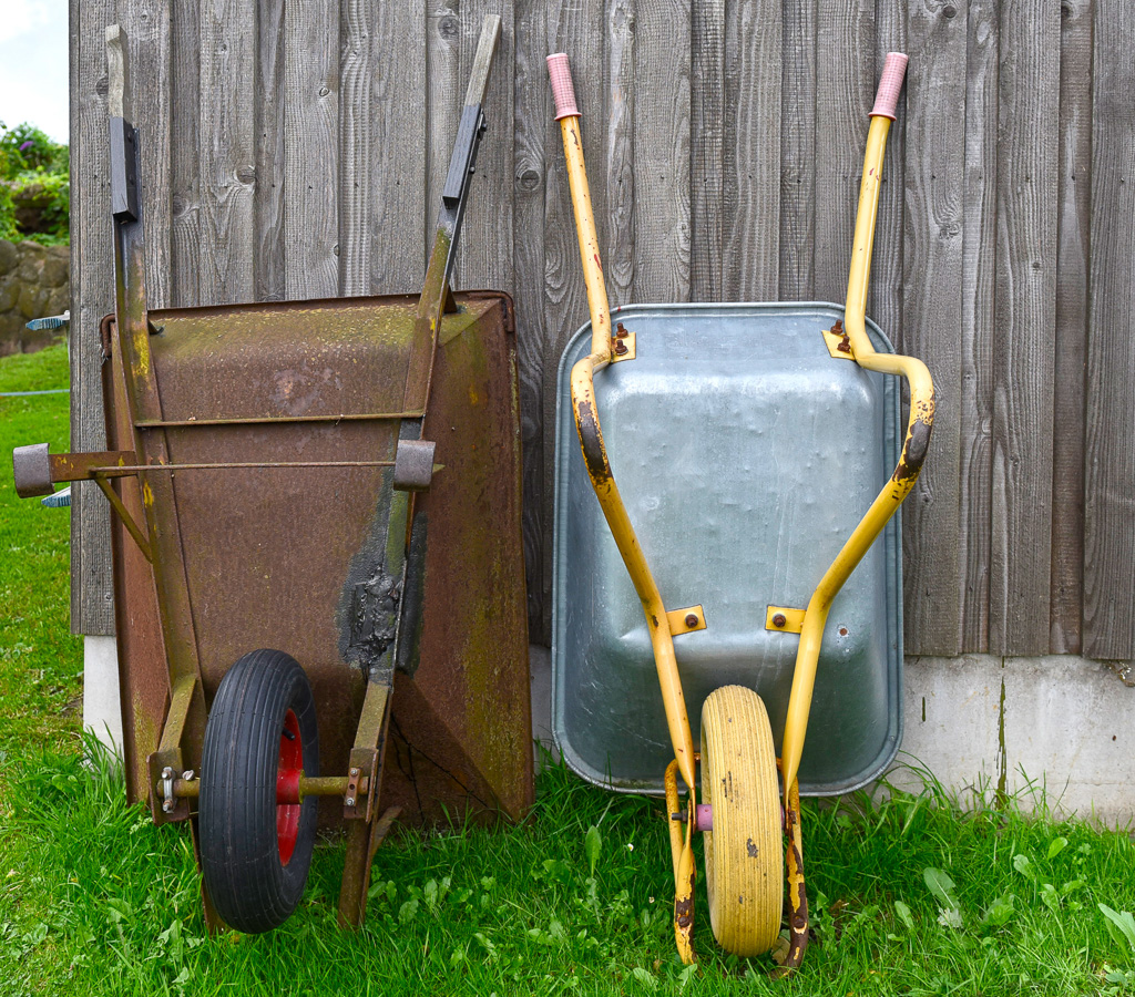 Månedens billeder august -Rust