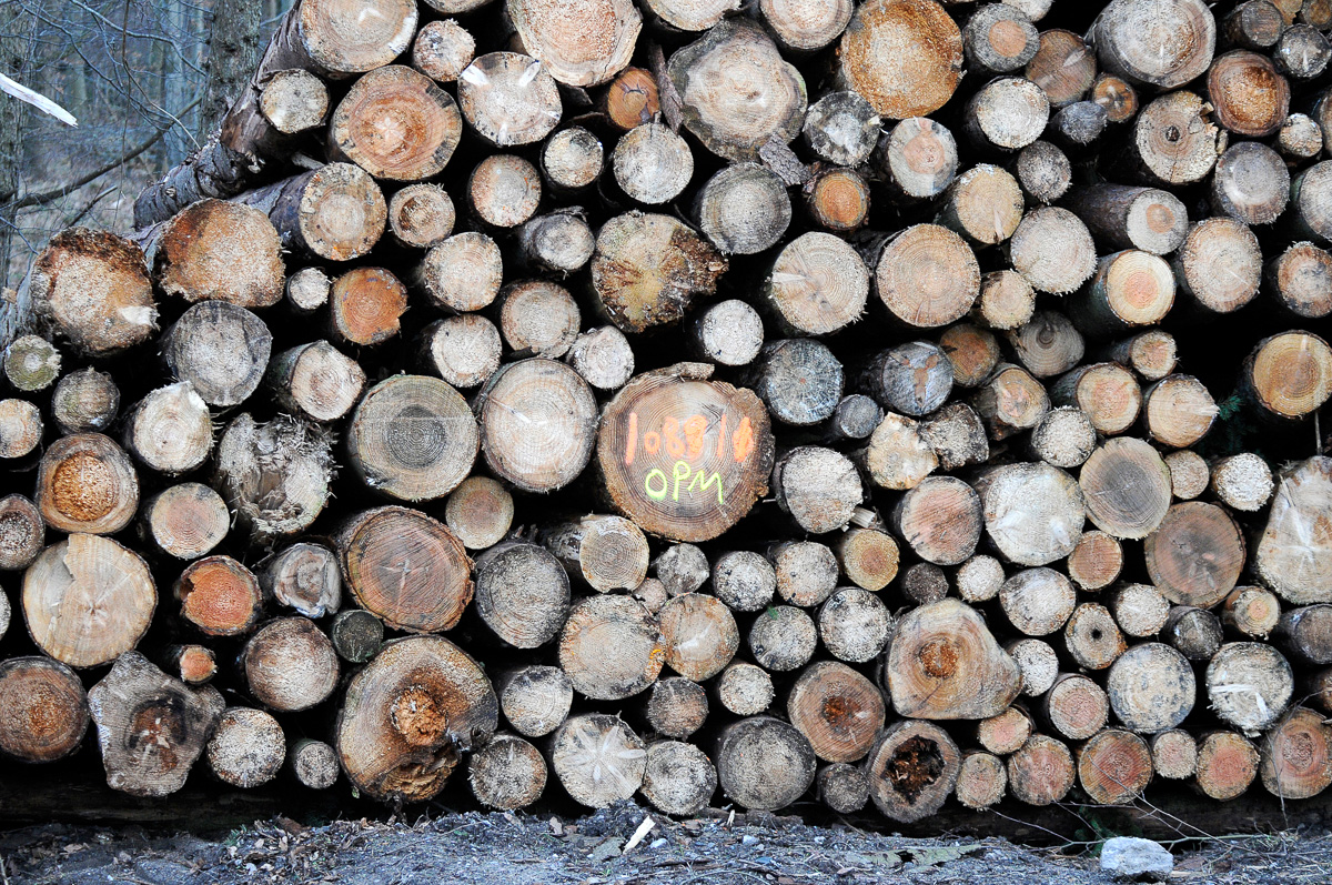 Månedens billeder februar - Frit emne