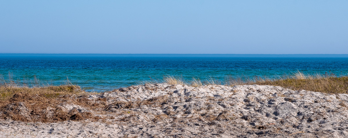 Månedens billeder juli "Frit emne"