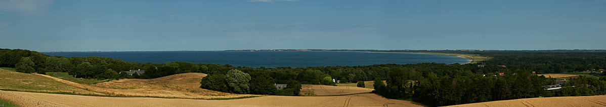 Månedens billeder juli "Frit emne"