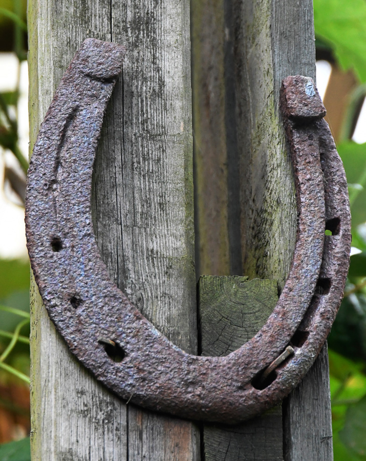 Månedens billeder juli "Sko"