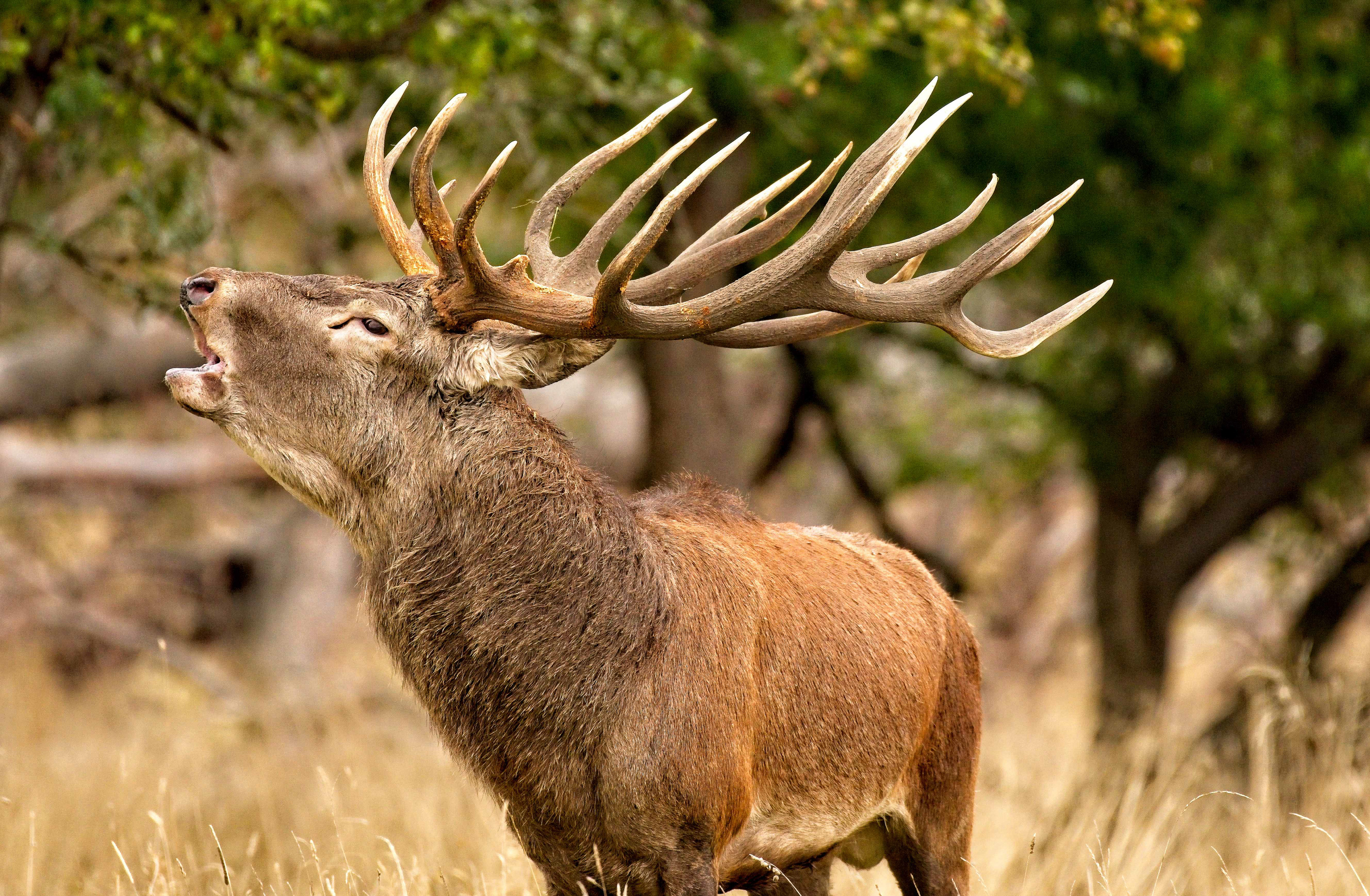 Månedens billeder oktober - Frit emne