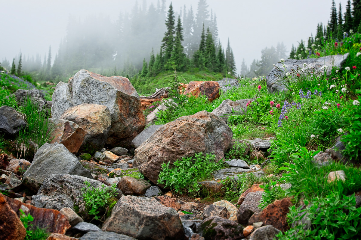 Månedens billeder februar- Fra arkivet