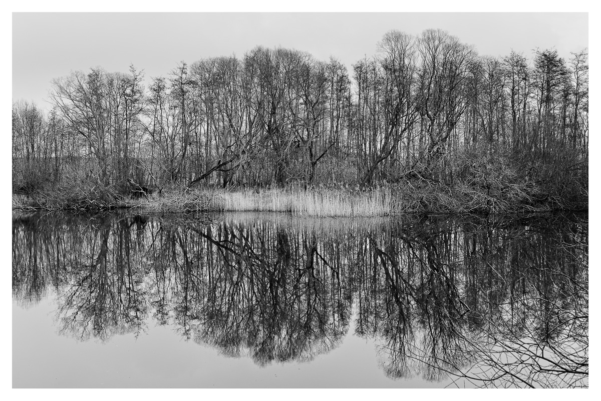 Månedens billeder februar- Månedens skud